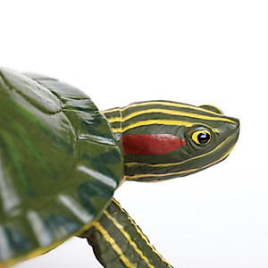 Safari Ltd. Red-Eared Slider Turtle Figurine - Realistic 5.25" Model Figure - Educational Toy for Boys, Girls, and Kids Ages 18M+