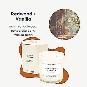 Calyan Wax Scented Candle, Redwood & Vanilla Candle for The Home Scented with Butterscotch, Soy Wax Aromatherapy Candle in Glass Jar with 37 Hour Burn Time, Non Toxic Scented Candles Gifts