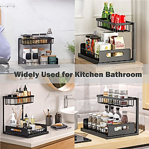 Under Sink Organizers and Storage - ZeJlo Metal 2 Tier Rustproof Under Cabinet Storage - Sliding Kitchen Sink Organizer for Kitchen Bathroom