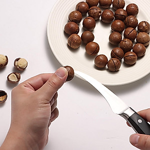 LAZIOPATER Bird Beak Paring Knife, Curved Paring Knives, German Stainless Steel, Peeling Knife, 3 Stainless Steel Rivet-Fastened Handles, Small Kitchen Knife Curved Blade, Gift Box