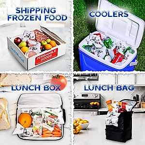 Ice Pack Bulk-Dry Ice for Shipping Frozen Food-Lunch Box Ice Packs-3 Pounds-24+Hours-Slim 15x12in/5x3in-Reusable ice Packs-Freezer Packs-Ice Packs Shipping-Dry ice Packs for shipping-12 Pack-BPA Free