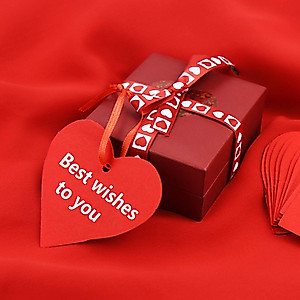 Lystaii 250pcs Heart Shape Paper Valentine Heart Confetti Blank Paper Tags Heart Cutouts 5 Color Gift Tags for Party Favors Wedding Decorations Baby Showers Thank You Card Christmas Cards (5 Color-B)