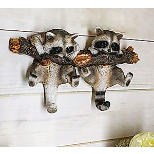Ebros Whimsical Forest Rustic 2 Playful Raccoons Dangling On Tree Branch 6 Pegs Wall Hooks 9.25" Wide Hanger Raccoon Rodent Themed Wall Mount Coat Hat Keys Hook Decor Hanging Sculpture Plaque