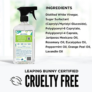 Aunt Fannie's Glass & Window Cleaning Vinegar Spray, Natural Streak-Free Glass and Window Cleaner, 16.9 Ounces (Pack of 1)