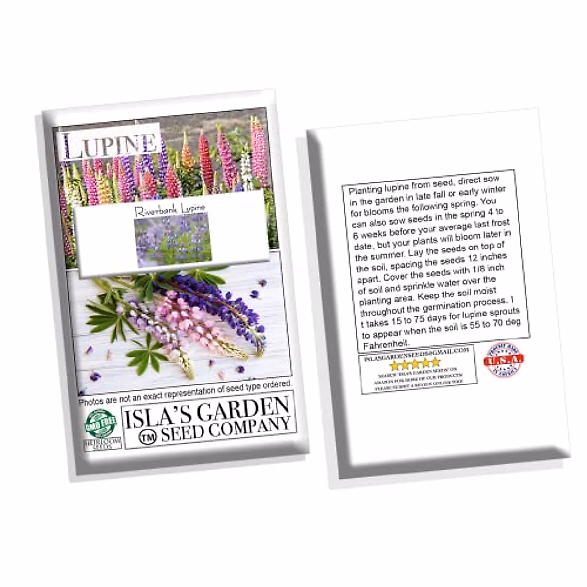 Riverbank Lupine Flower Seeds, 100+ Heirloom Seeds Per Packet, (Isla's Garden Seeds), Botanical Name: Lupinus rivularis, Non GMO Seeds