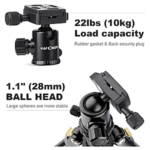 K&F Concept 64''/162cm DSLR Tripod,Lightweight and Compact Aluminum Camera Tripod with 360 Panorama Ball Head Quick Release Plate for Travel and Work B234A1+BH-28 (TM2324)