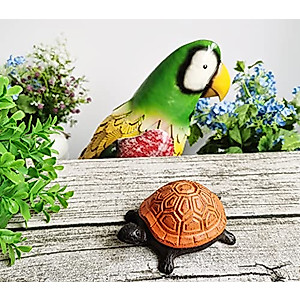 BSTGIFTS Cast Iron Turtle Key Hider - Spare Key Holder - Garden Decoration Turtle, Jewelry Trinkets Box for Key, Ear Studs, Ring, Paper Clip (Orange Red)