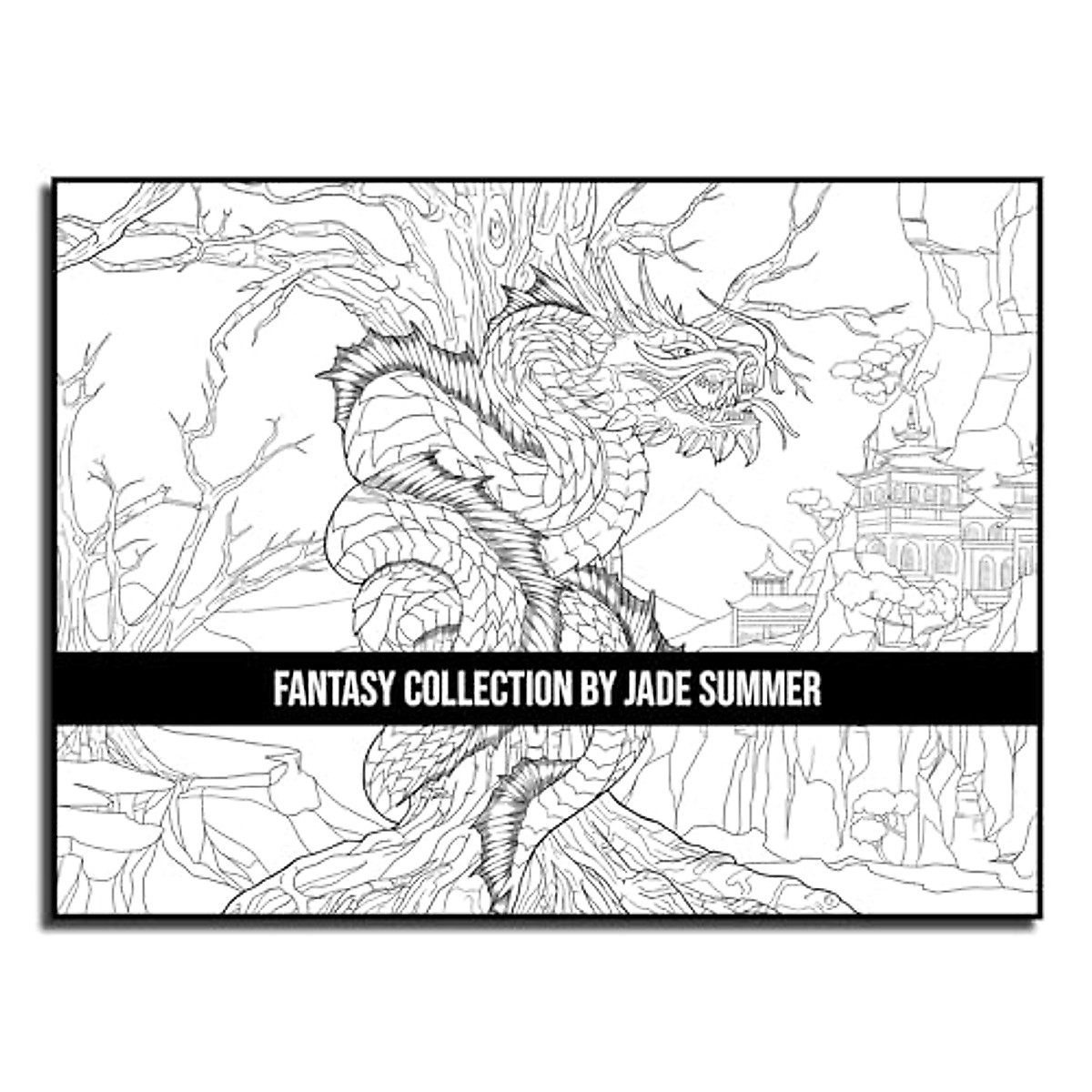 Fantasy Collection: An Adult Coloring Book with 100+ Incredible Coloring Pages of Mermaids, Fairies, Vampires, Dragons, and More!