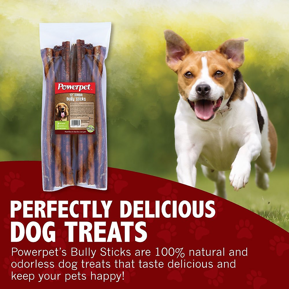 Natural Dog Chew - Powerpet: Bully Sticks - 12” Jumbo Bully Sticks - 7 Ct - Odorless - Helps Improve Dental Hygiene - 100% Natural & Highly Digestible - Helps Keep Your Dog Healthy & Happy