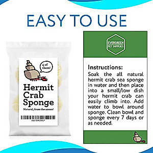 Evergreen Pet Supplies 4-Pack of Natural Hermit Crab Sea Sponges - All Natural Sponge for Crabs - Assists Safer Drinking, Provides Nutrients, Balances Tank Humidity