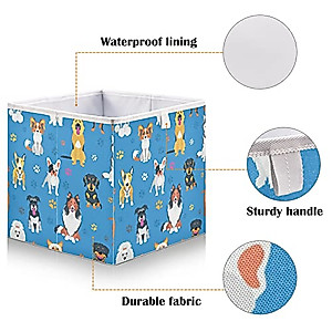 Kigai Pet Dog Blue Cube Storage Bins - 11x11x11 In Large Foldable Storage Basket Fabric Storage Baskes Organizer for Toys, Books, Shelves, Closet, Home Decor