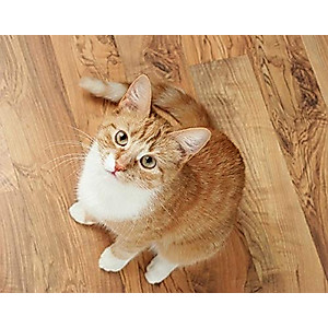 I LOVE MY PETS LLC Urinary Tract Infection in Cats - CAT Urinary Tract Support - Natural Complex - Premium - cat Bladder - 180 Treats (2 Bottles)