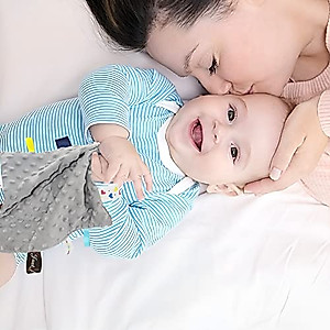 XIAOMUWU Tag Security Blankets for Babies, Sensory Soothing Blanket for 3-12 Months Baby, Soft Minky Loveys Toys for Girls and Boys (Gray White)