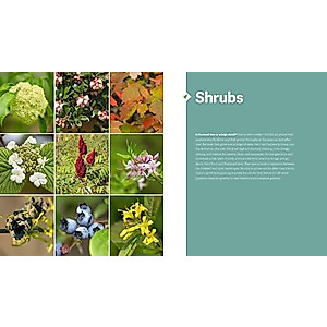 The Northeast Native Plant Primer: 235 Plants for an Earth-Friendly Garden