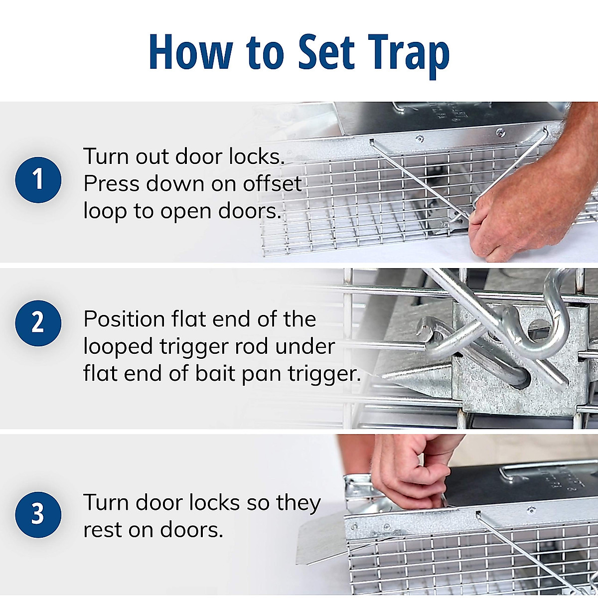 Havahart 1025 Small 2-Door Humane Catch and Release Live Animal Trap for Squirrels, Chipmunks, Rats, Weasels, and Small Animals