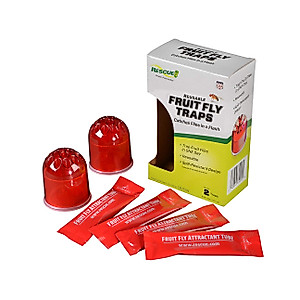 RESCUE! Reusable Indoor Fruit Fly Traps with Non-Toxic Liquid Attractant - 2 Traps, 3-Pack (6 Traps)