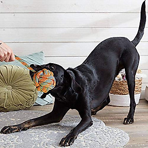 Youngever 6 Pack Large Dog Rope Toys, Dog Chew Toys, Dog Toys for Large, XL Large Dogs