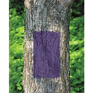 Rust-Oleum 270970-6PK Specialty No Hunting Purple Spray Paint, 12 oz, 6 Pack