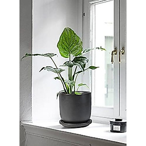 Serene Spaces Living Large Classy Matte Black Ceramic Pot with Drainage Holes and Saucer for Plants and Flowers, Decorative Outdoor/Indoor Planters, Measures 6" Diameter & 5.75" Tall