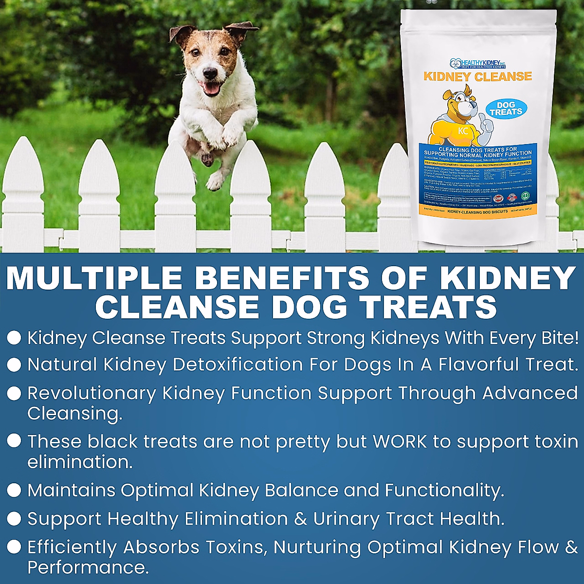 Kidney Cleanse Beef Dog Treats Supports Normal Kidney Toxin Elimination: 20 Oz. Low Protein Beef Dog Treats for Kidney Support. Kidney-Friendly Dog Food Diet Treat.