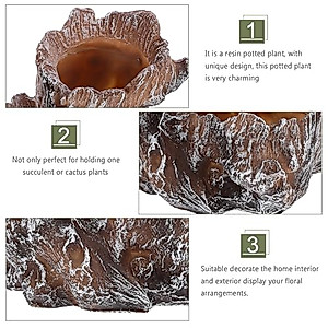 GANAZONO Flower Decor Driftwood Succulent Pot Driftwood Stump Log Planter Succulent Pot Resin Plant Pot Multilayer Planter Tree Root Flower Pot Holder Bonsai Pot Grey Garden Planter Desktop Decor