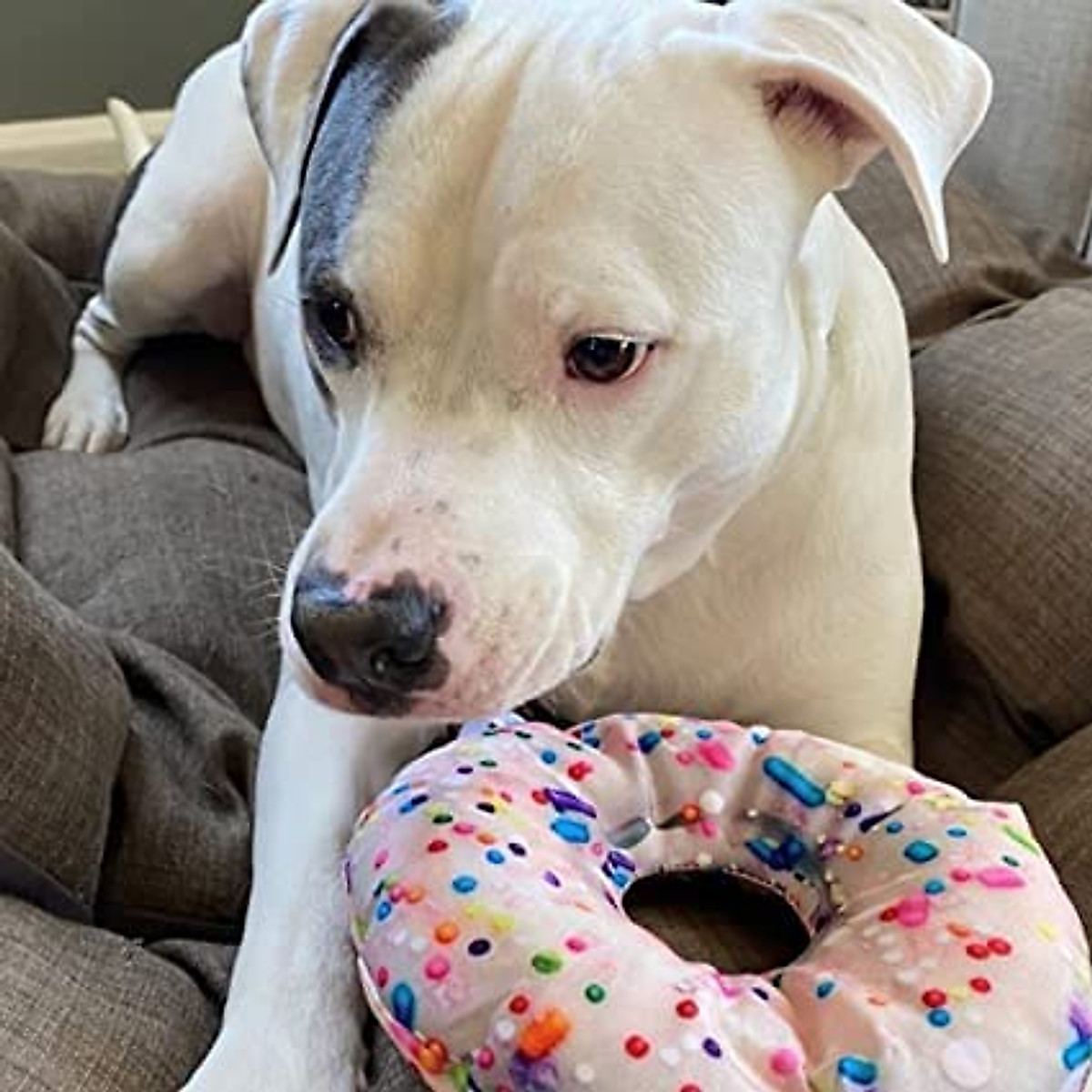 Doggijuana / 3 Juananip™ Refill Bottles/Premium Organic Ground Catnip for Dogs/All Natural/Grown in The USA/Promotes Play and Helps Your Dog Chill