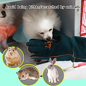 23.7 inch Animal Handling Gloves Bite Proof,Multipurpose Pet Glove for Grabbing Reptile, Grooming, Trips to Vet. Puncture & Scratch Resistant, Bite Proof for Cat Dog Bird Falcon Livestock Snake Large