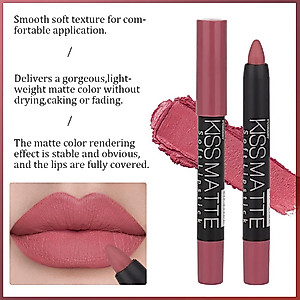 BINGBRUSH 3 Colors Longwear Lipstick Pack Set, Matte Color Stick Ultimate Lip Crayon for Makeup Collection - Nourishing Waterproof Velvet Lipgloss Lip Stain (05# 06# 09#)