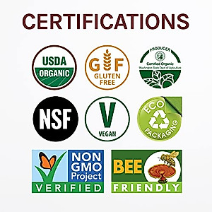 Host Defense, Lion's Mane Capsules, Promotes Mental Clarity, Focus and Memory, Mushroom Supplement, 60 Count