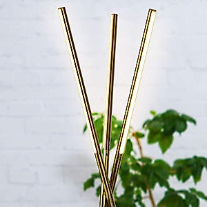 Brightech Stix Floor Lamp, Tall Tree Lamp for Offices, LED Tripod Lamp for Living Rooms, Great Living Room Décor, Dimmable Standing Lamp with 3 Lights for Bedroom Reading - Gold/Brass