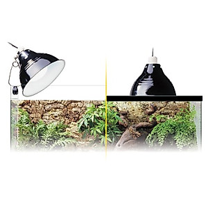 Exo Terra Glow Light Porcelain Clamp Lamp, 10-Inch Long