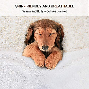 Softlife Super Soft Fluffy Faux Fur Throw Blanket 50" x 60" Reversible Plush Warm Sherpa Blankets for Couch Sofa Bed Throws Home Decorative, Cream