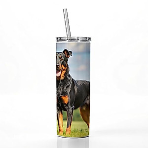 Beauceron Dog Photo Skinny Tumbler 20oz with Straw Insulated Water Bottle Gift