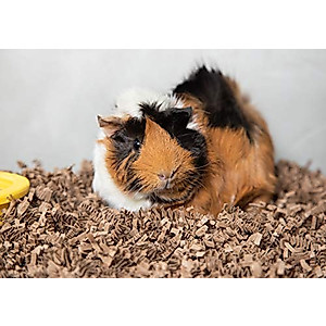 ECO Bedding Fibercore, 1.5 lb Brown