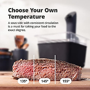 Greater Goods Kitchen Sous Vide - A Powerful Precision Cooking Machine at 1100 Watts; Ultra Quiet Immersion Circulator With a Brushless Motor (Onyx Black)