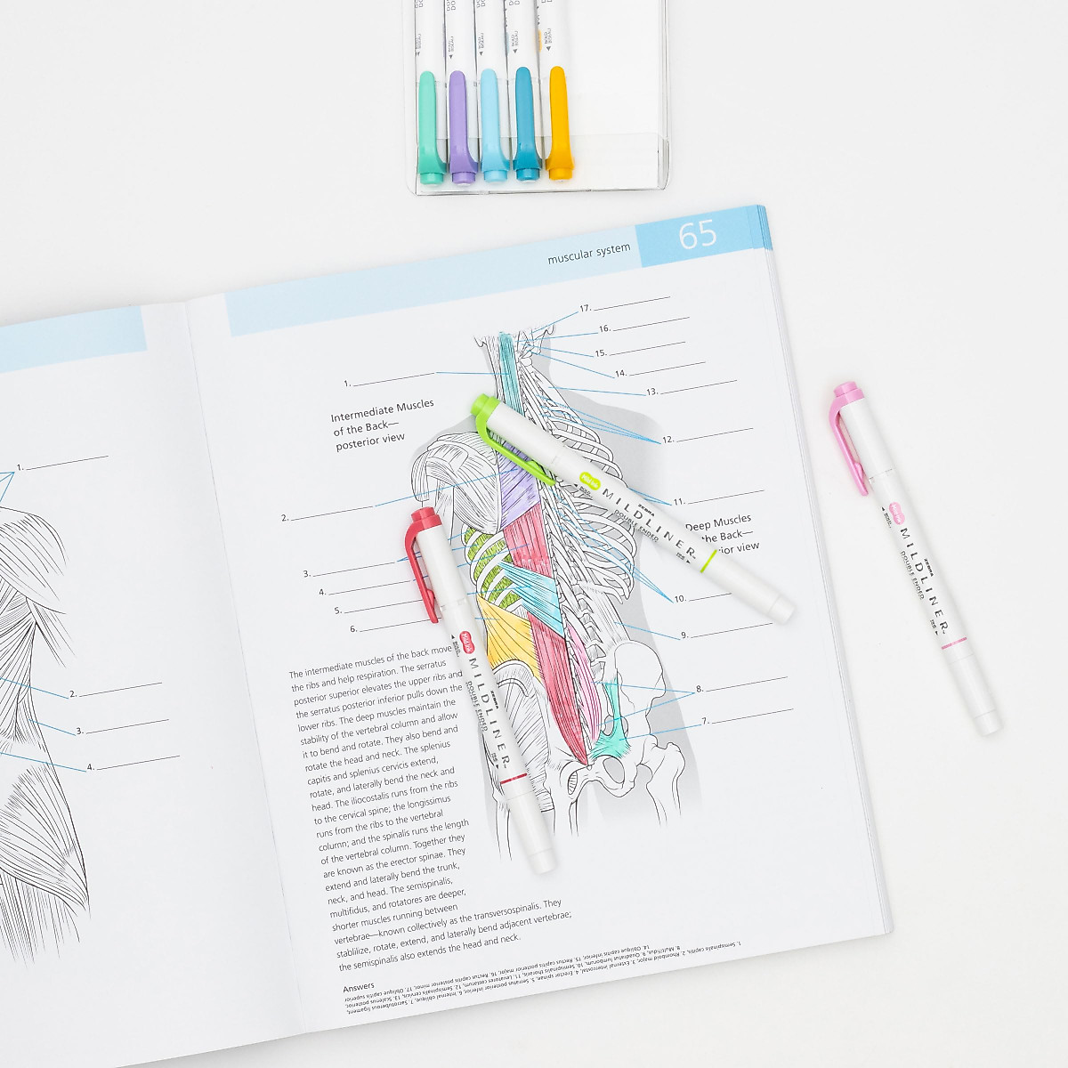 Zebra Pen 78108 Mildliner Double Ended Highlighter Set, Broad and Fine Point Tips, Assorted Ink Planner Colors, 8-Pack