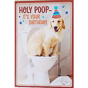Greeting Card Holy Poop It's Your Birthday Funny Humor Cute with Golden Labrador Retriever - Bathroom Farting Humor