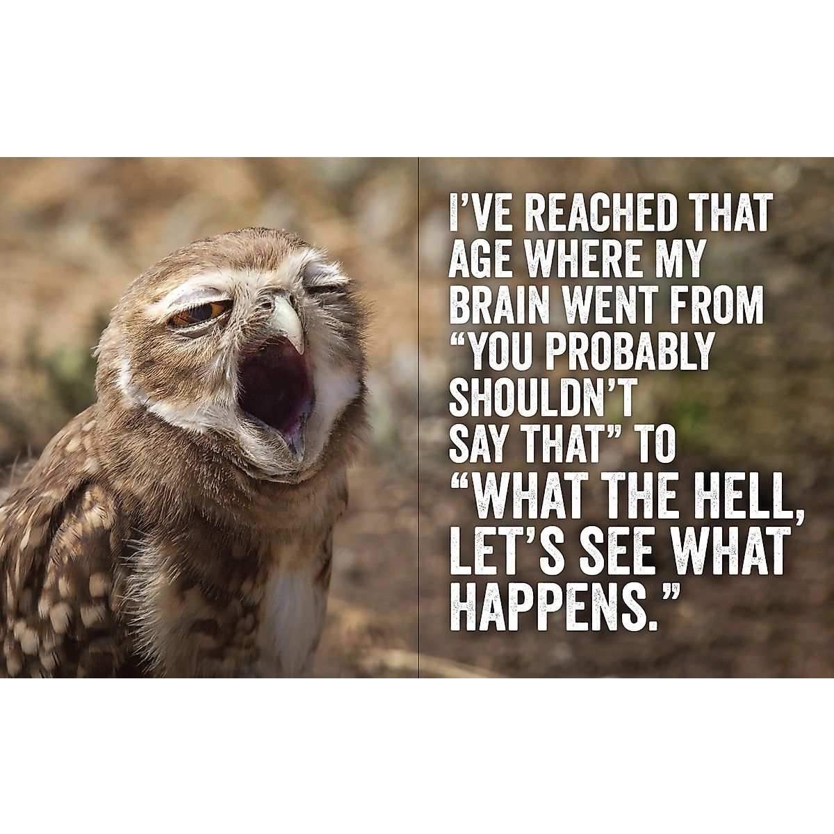 I Thought Growing Old Would Take Longer (mini book)