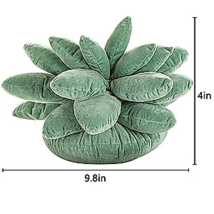 Nenalayo 9.8in Succulent Pillow, Cute Stuffed Plant Plush Pillows, 3D Succulents Cactus Pillow, Novelty Plush Cushion for Garden Bedroom Home Decor (Green-B)