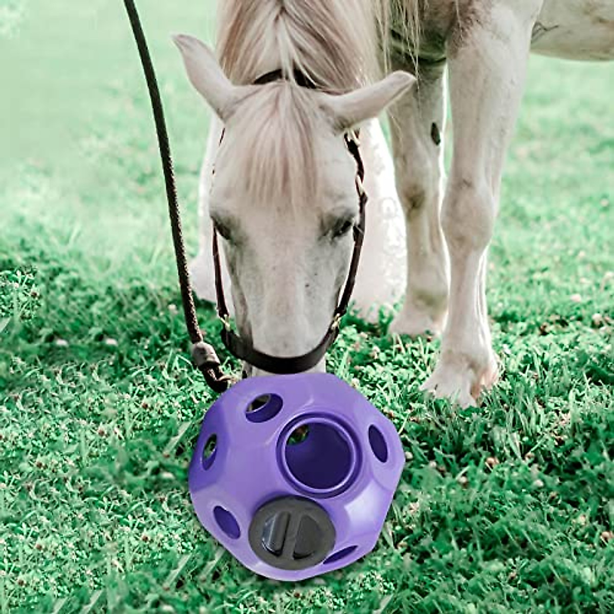 AMLESO Horse Treat Ball Hay Feeder Toy Ball Feeding Toy for Horse Sheep, Horse Stable Stall Paddock Rest, Purple