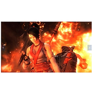 Ninja Gaiden: Master Collection (English) (Nintendo Switch)