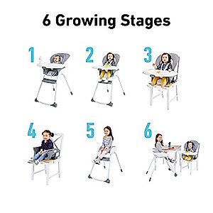 Graco Made2Grow 6 in 1 High Chair | Converts to Dining Booster Seat, Youth Stool, and More, Monty