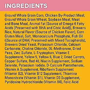 PEDIGREE Puppy Growth & Protection Dry Dog Food Chicken & Vegetable Flavor, 36 lb. Bag