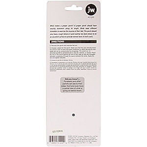 JW Pet Insight Sand Perch, Small, Assorted