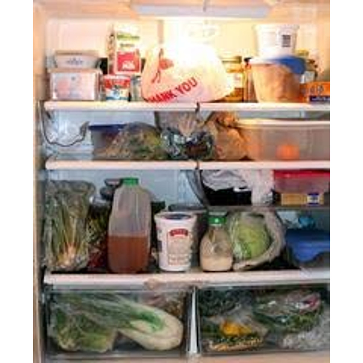 Bulbmaster 4 Pack 40A15/CL - 40 Watts A15 Incandescent Oven Refrigerator Bulb High Temperature Resistant Appliance Bulb - Clear Finish - Standard Household Medium (E26) Base