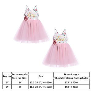 Baby Girl Toddler Kids Second 2nd Birthday Dress Boho Floral Printed Backless Tutu Tulle Maxi Long Dress Two Years Old Party Photo Shooting Clothes Summer Beach Pageant Wedding Bridesmaid Pink Two