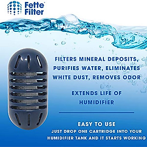 Fette Filter - Ultrasonic Demineralization Humidifier Replacement Cartridges Filters Mineral Deposits, Purifies Water, Eliminates White Dust, Removes Odor, Compatible with HoMedics - Pack of 10