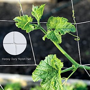 RC SLL Garden Trellis Netting 5×15FT 2-Pack,Heavy-Duty Polyester Trellis Net for Climbing Plants Outdoor,Plant Supporting Net for Vine Plants,Hydroponics Garden Climbing Net,Bonus One Twist Tie
