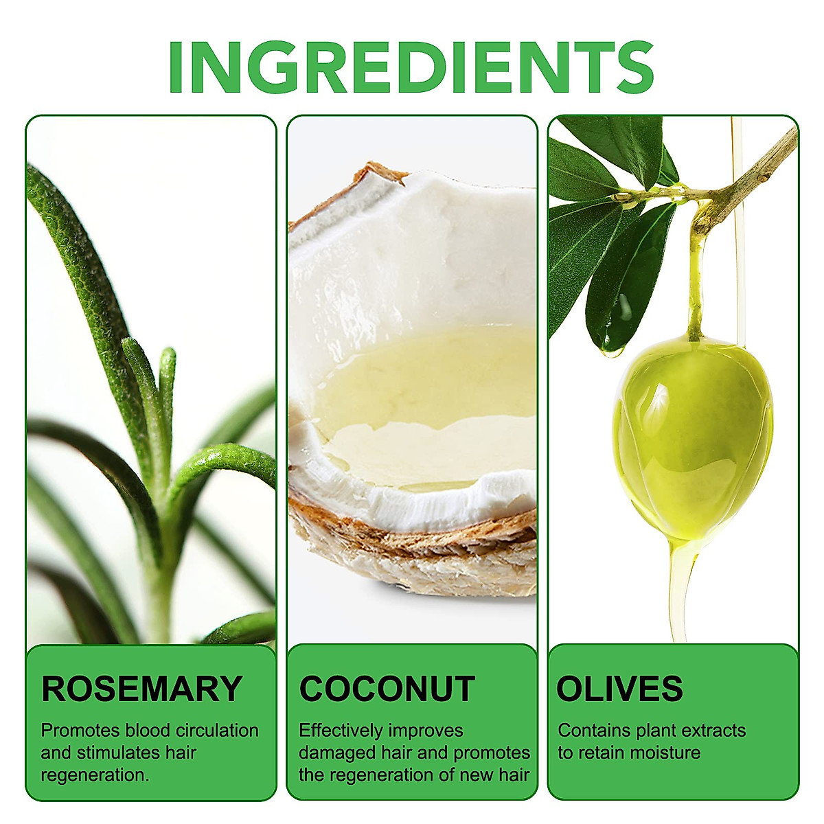 Organics Rosemary Biotin Strengthening Conditioner, Promotes Hair Growth & Scalp Health, Smooth Conditioner for Dry and Crinkled Hair, Hair Loss Conditioner Knots & Split Ends Hair Treatment, 10.56 Oz