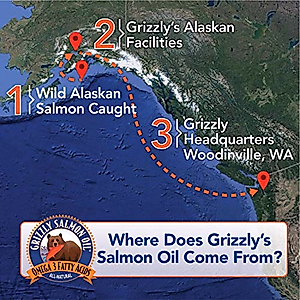 Grizzly Salmon Plus Omega Fatty Acids Food Supplement for Dogs & Cats (Various Sizes) - Wild-Sourced Omega 3-6-9, Wild Alaskan Salmon Oil (64 Fl Oz)